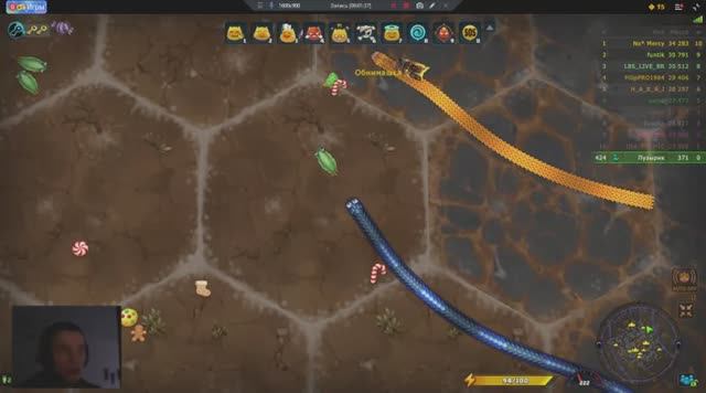 Маленькая большая змея динамичная онлайн игра Little Big Snake