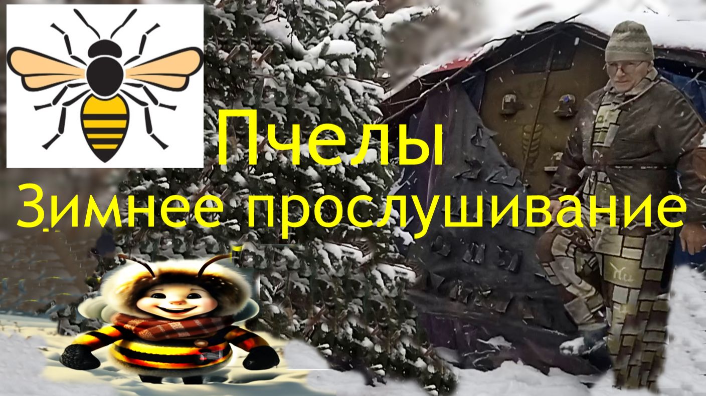 Пчелы-слушаем.15 февраль 2026 г🐝