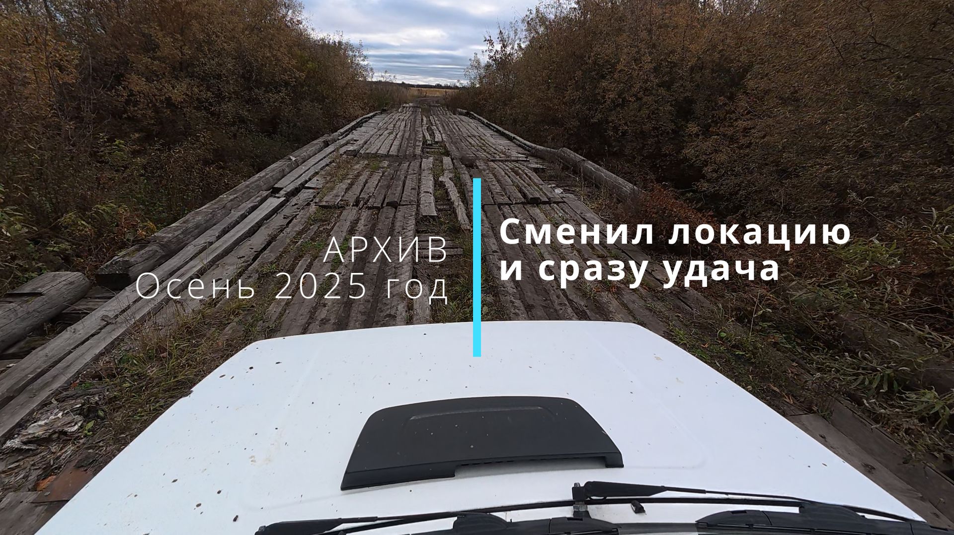 Разведка удалась. Старинное поле дарит монеты