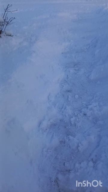 Кубань не Камчатка, но у нас тоже сугробы.