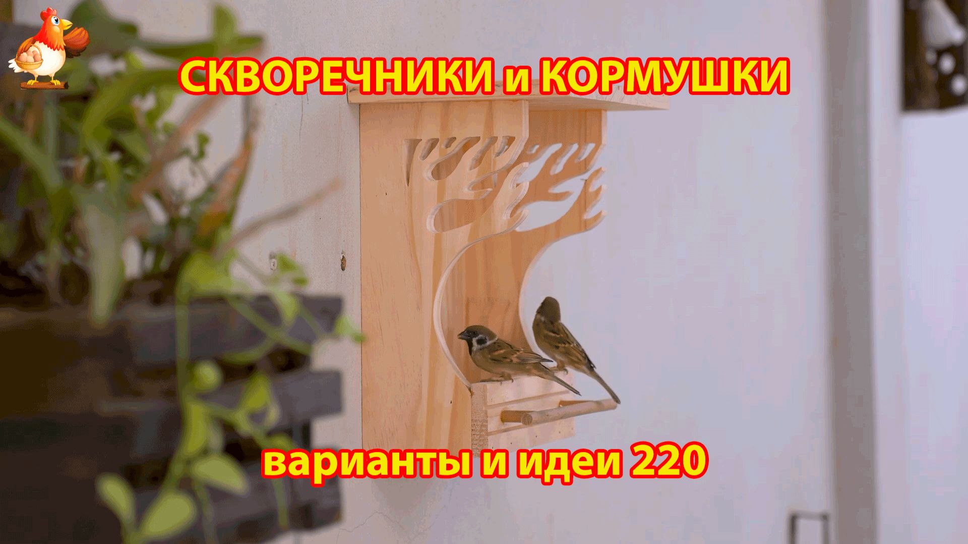 Скворечники и кормушки своими руками для птиц (220) 🪚🪛🔨 Идеи для дачи и сада пошагово ❣️