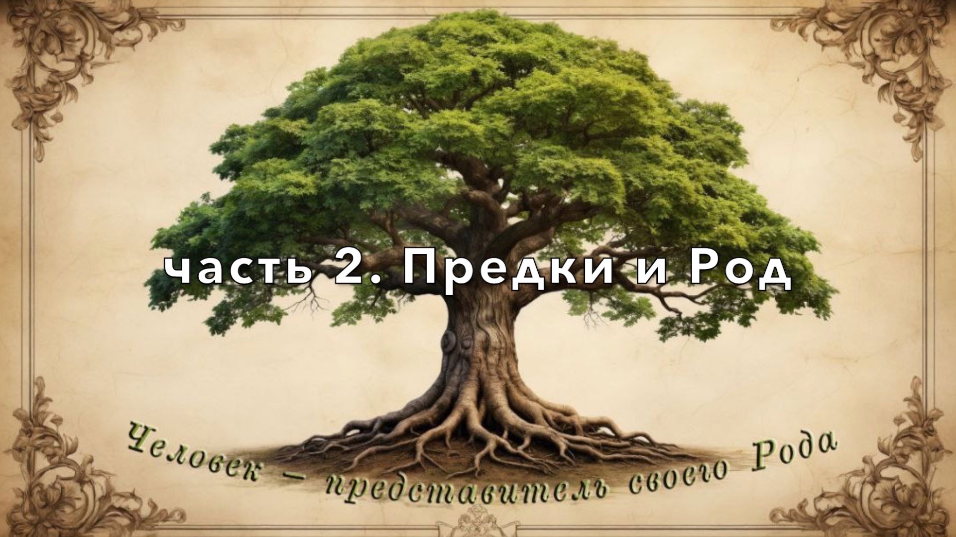 Человек - представитель своего Рода. ч.2 Предки и Род