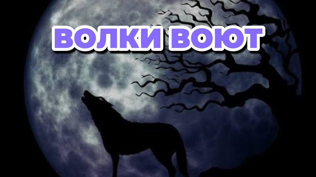 КАК ВОЮТ ВОЛКИ