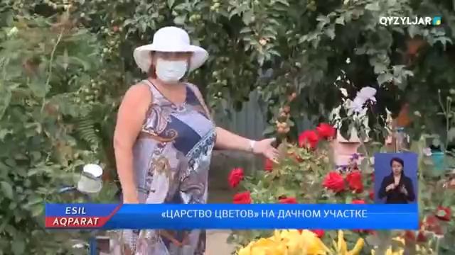 репортаж обо мне и моих цветах