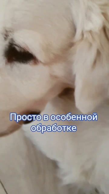 Эта голова очень часто просит есть😄