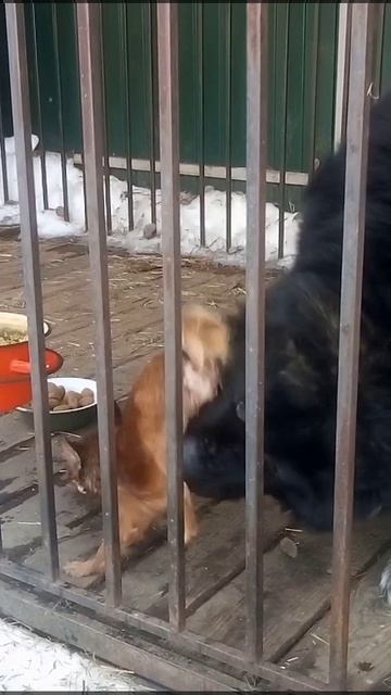 На такие кульбиты я не соглашалась!