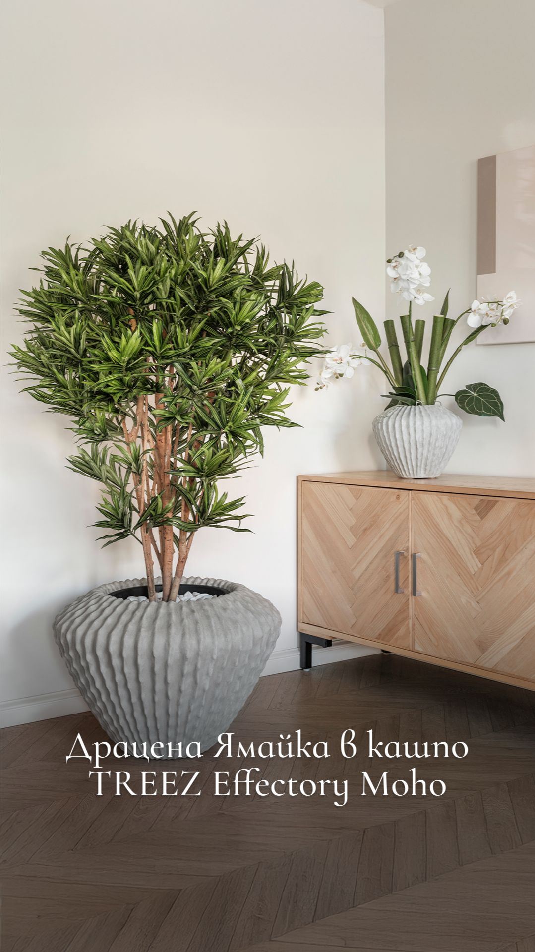 «Зелёная пауза» в интерьере