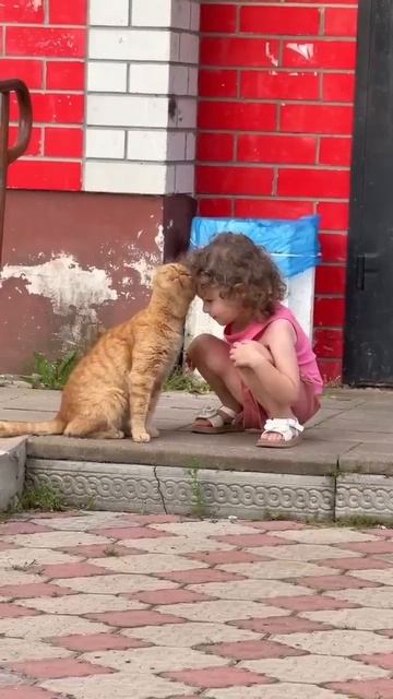 Ты такая милая, а я такая рыжая! Давай дружить!