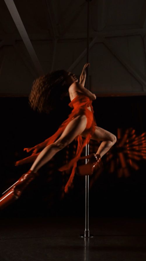 Strange Birds - Birdy, exotic pole dance choreo