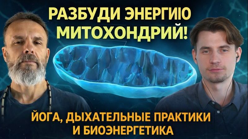 Комплексный подход. Озонотерапия и Йога. Движение Дыхание Питание. Клеточное Дыхание и Питание.