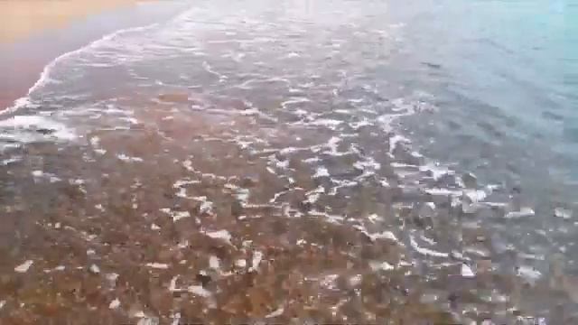 Дерек Принс_"Где мы в Библейских пророчествах"часть1 Библейские предсказания.