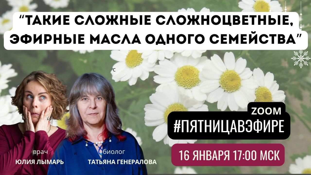 Такие сложные сложноцветные
