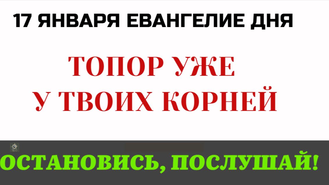 Евангелие дня Секира при корне дерев. Страшное пророчество Иоанна Предтечи.
