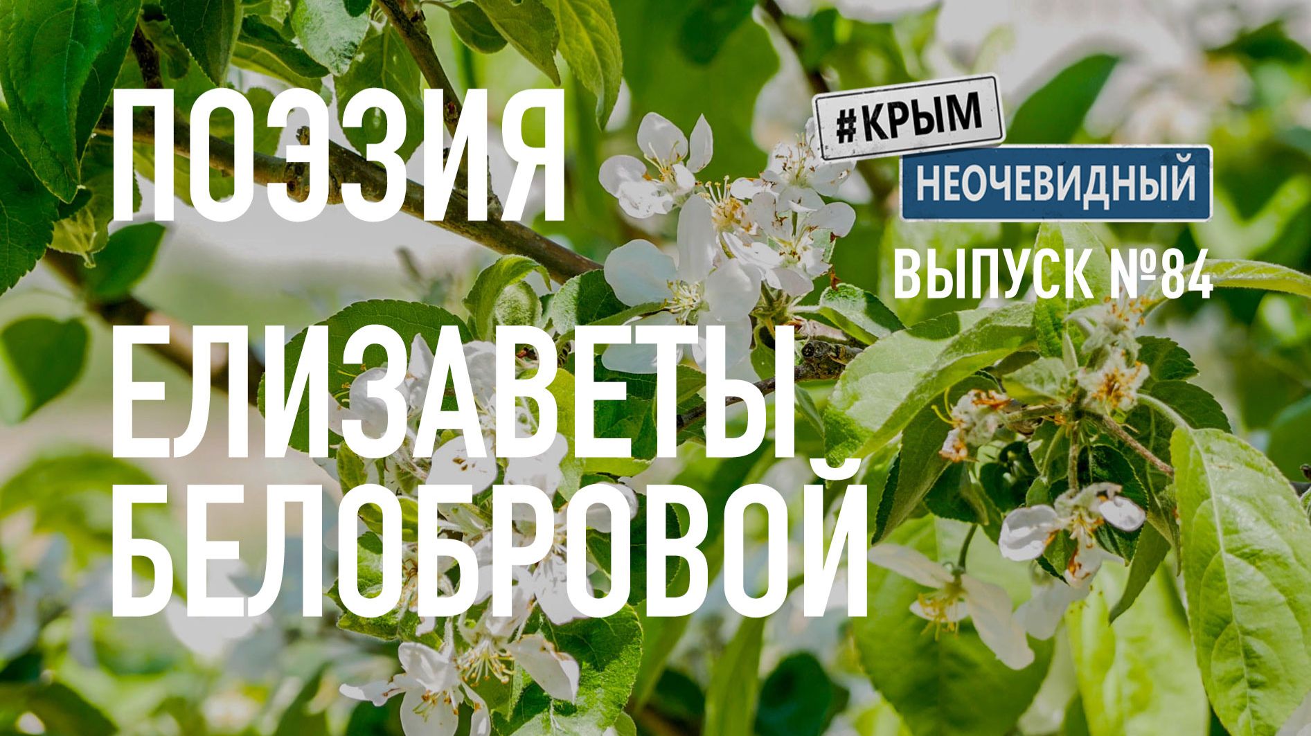 #КрымНеОчевидный: Тебе Крым (Глава 299). Поэзия Елизаветы Белобровой - Я помню детство...