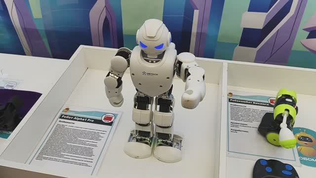 2. Выставка роботов.