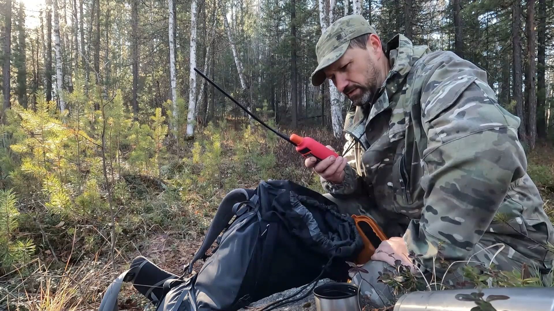 Добыл рябчика.  Собака лает белку. По новой тропе на зимовьё. # 1