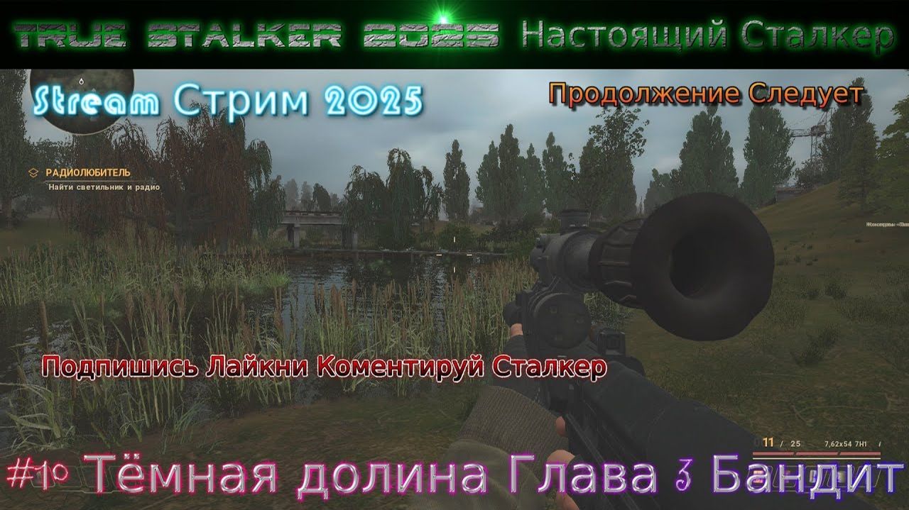 True Stalker 2025 Настоящий Сталкер Stream Стрим Полное Прохождение #10 Тёмная долина Глава 3 Бандит