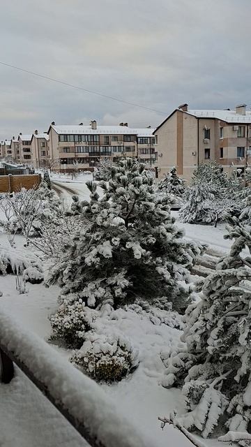 День Сурка на Чёрном море!