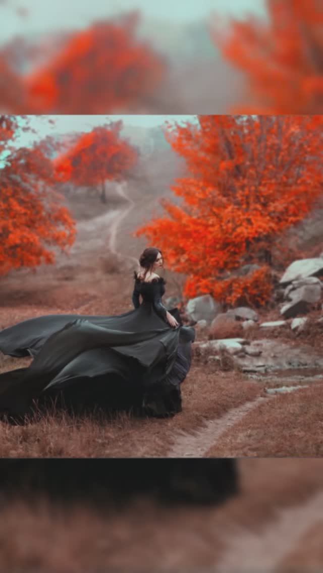 «Насыщенность» в AliveColors