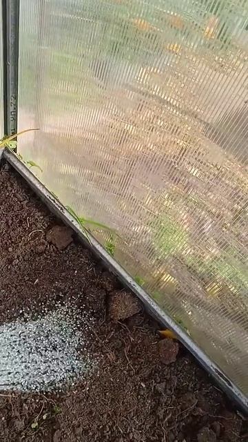 подготовка теплицы к обработке