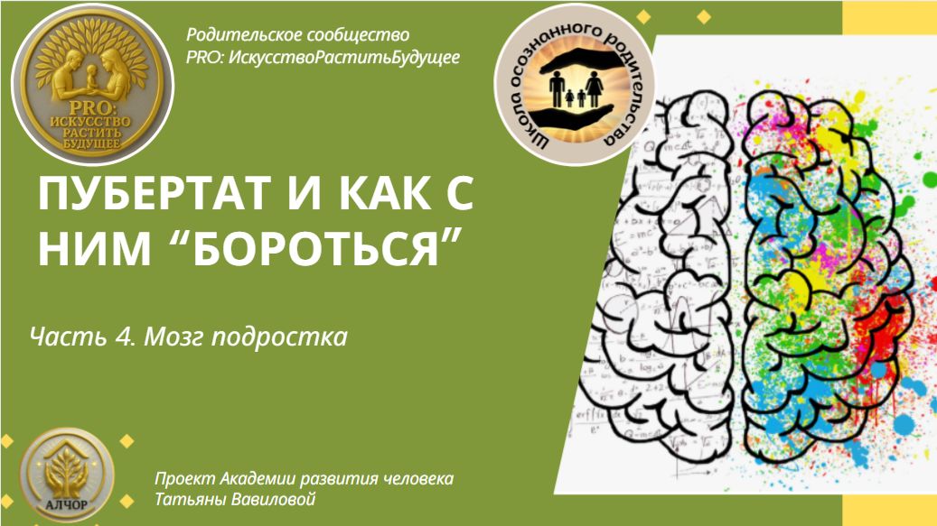 ШОР: Занятие 18. Мозг подростка