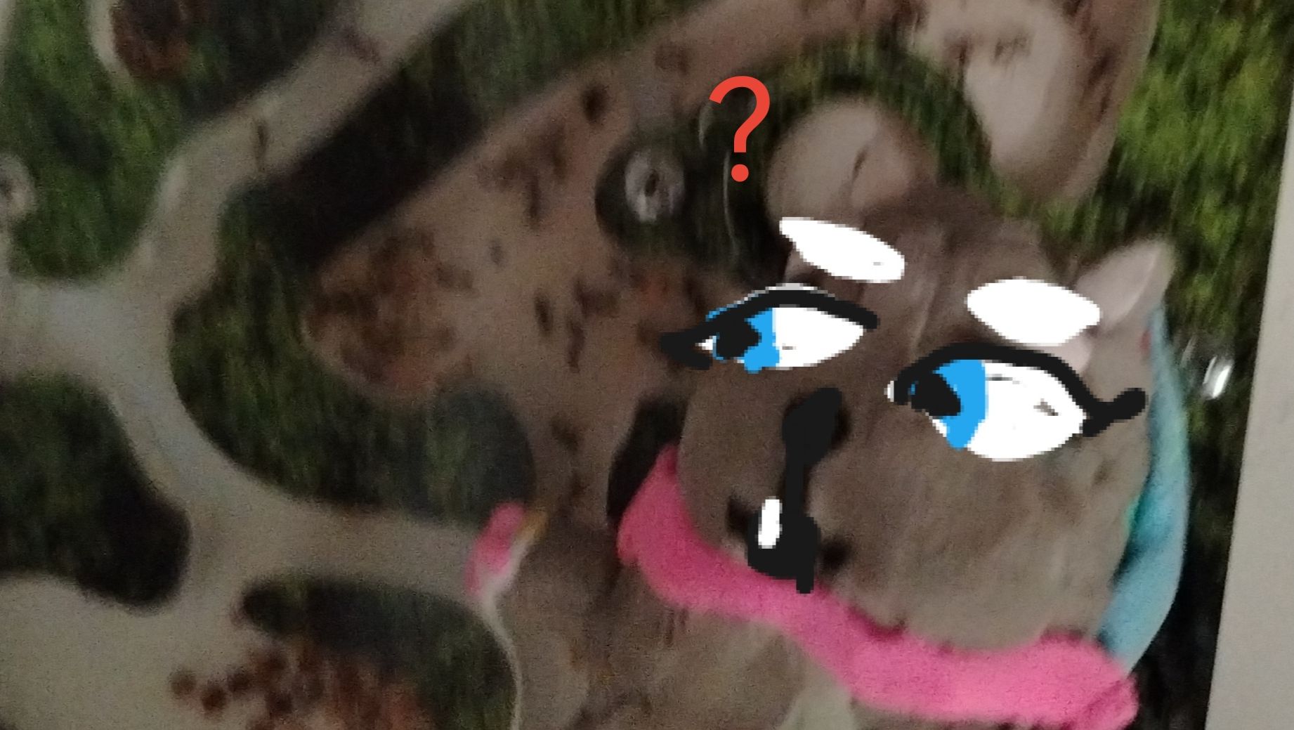 Уборка у моих муравьев! Антипобег! Что с ними случилось? И собака Хаска!