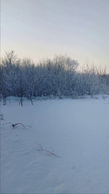 Красота! 15.01.2026.