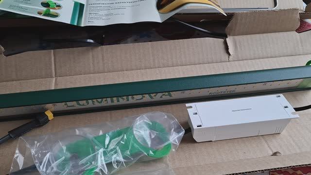 КУПИЛА ХОРОШУЮ ФИТОЛАМПУ.РАССАДА ТОМАТОВ В ЯНВАРЕ