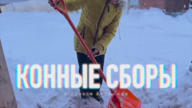9 января | Финальная прогулка и завершение смены