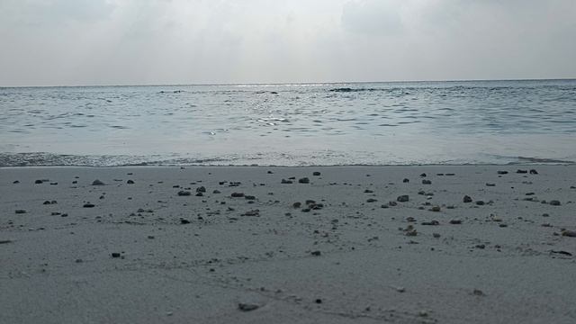 Море и крабы, следующий день, Камаду, Мальдивы, январь 2026 (Sea and crabs, Next Day, Kamadhoo)