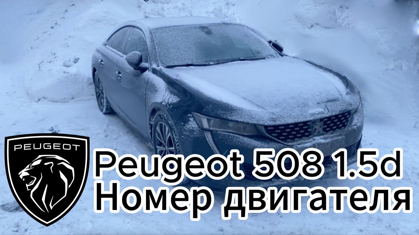 Номер двигателя Peugeot 508 (+ расположение масляного фильтра)