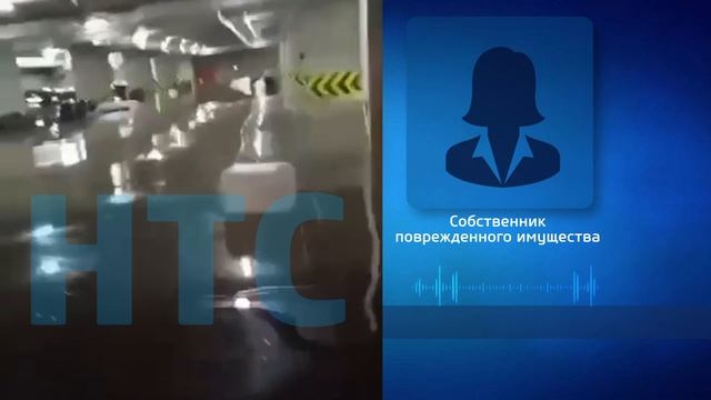 Потоп в стрижах