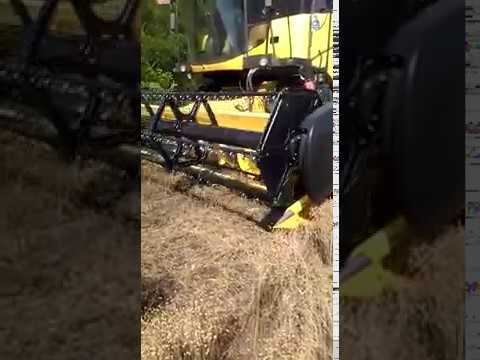Система среза жумахер в действии на жатке комбайна New Holland