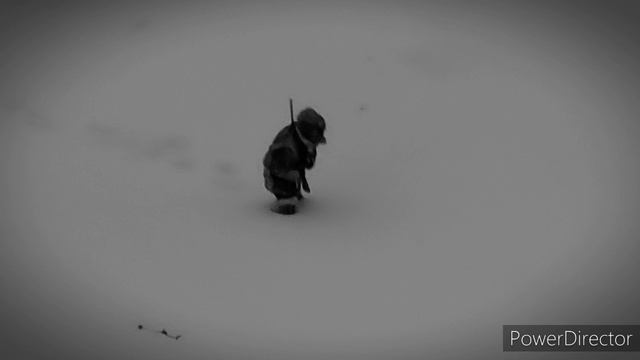 Документальный ролик, посвященный к 125-летию И.Е.Винокурова