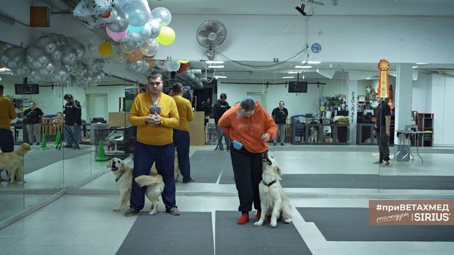 Что такое канистерапия? // #приВЕТАХМЕД