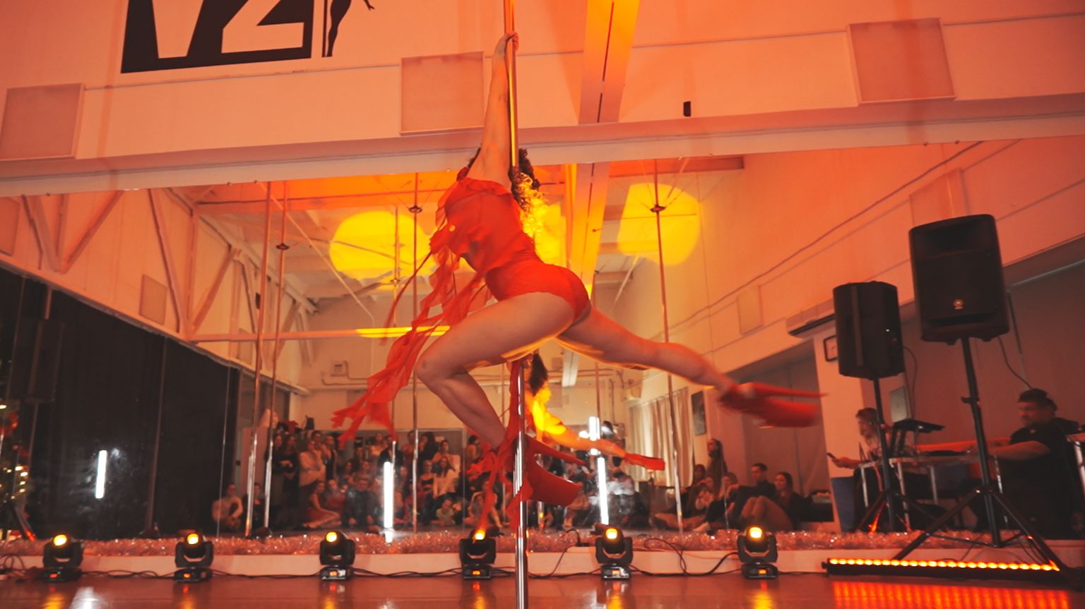 Strange Birds - Birdy, exotic pole dance choreo