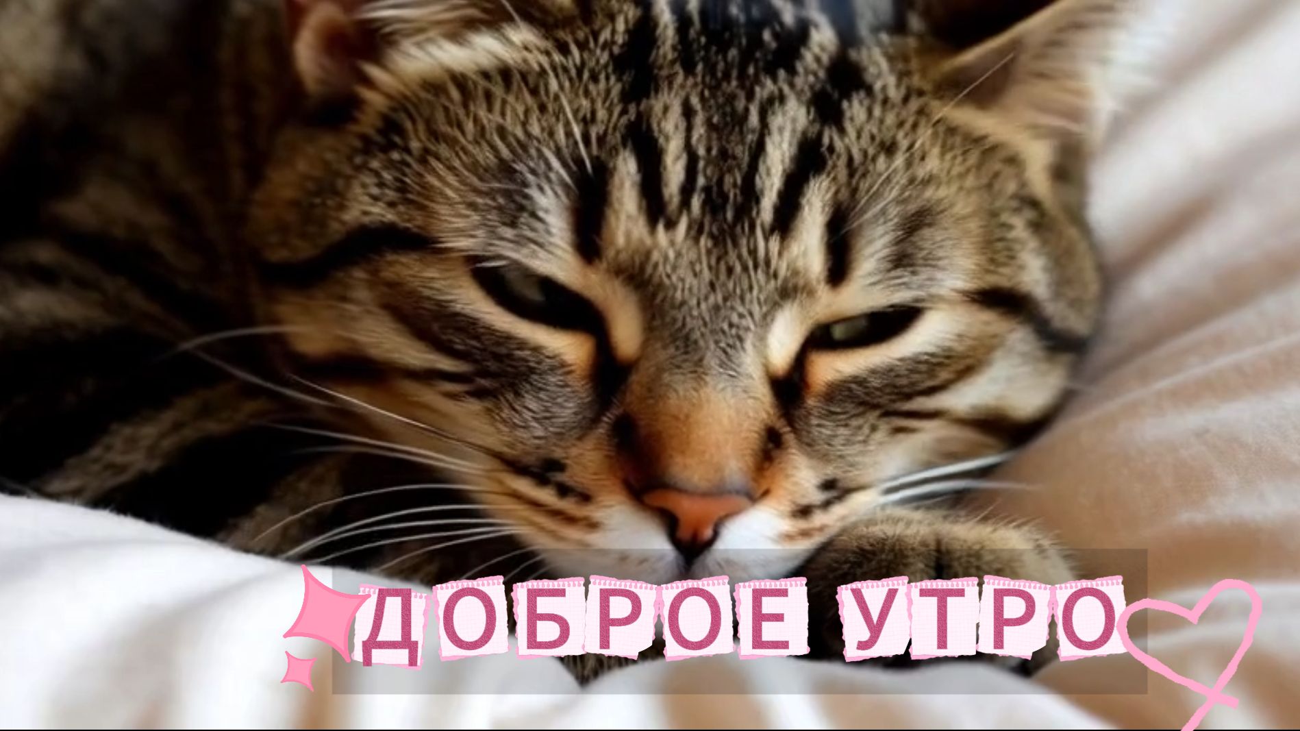 Доброго утра! Красивые открытки пожелания