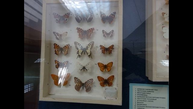 Музей природы Селигерского края