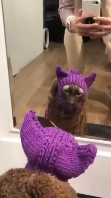 Кото шапка своими руками 👐