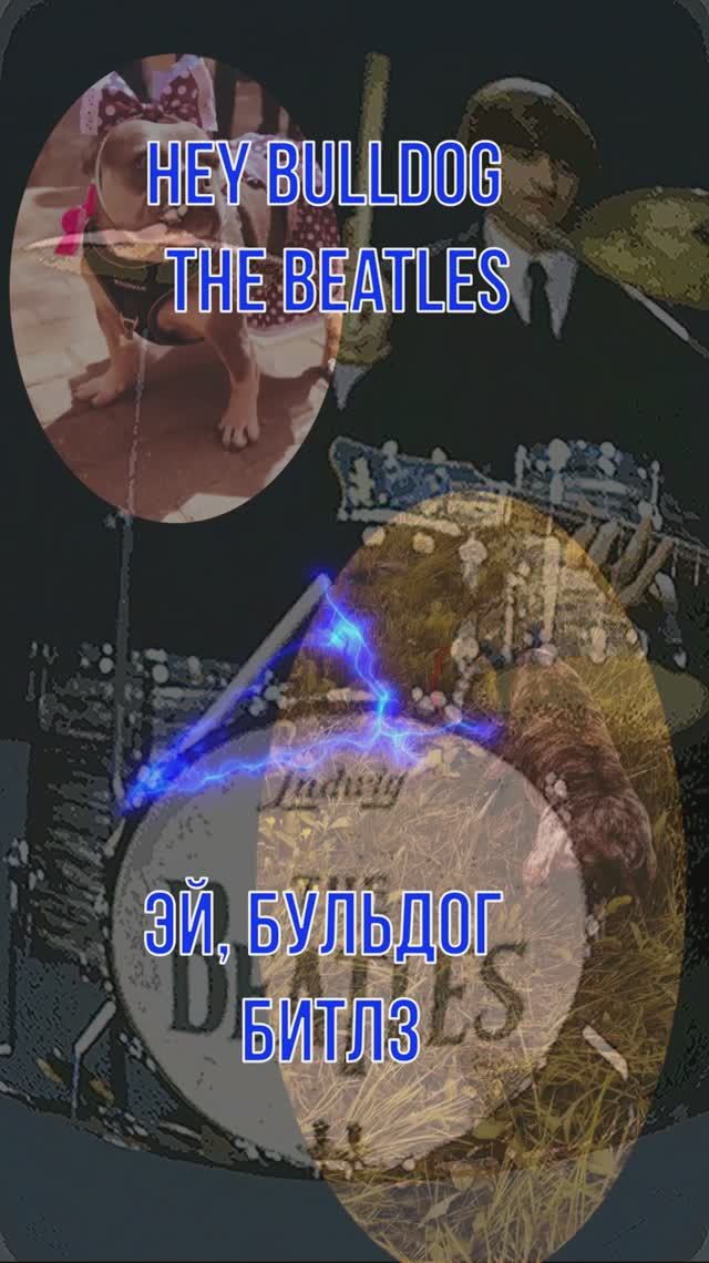 БитлзThe Beatles  Эй, бульдог Hey Bulldog