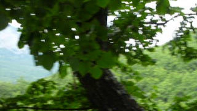 Крым 2011.Каньон