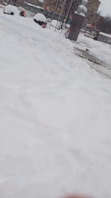 Мы гуляем после музыкальной школы