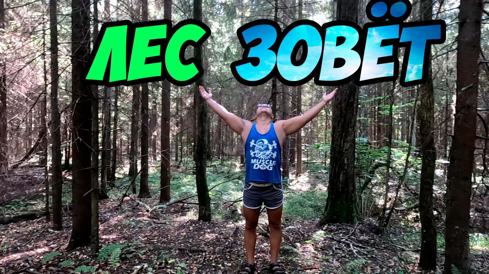 Лёс зовёт - зачем люди ходят в лес?