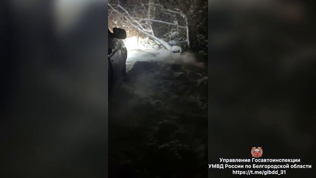 Автомобилистка поблагодарила белгородских автоинспекторов за помощь в сложной дорожной ситуации