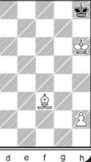 Слоновый эндшпиль. Не тот слон