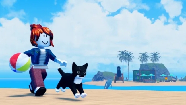 гонки с дельфином.