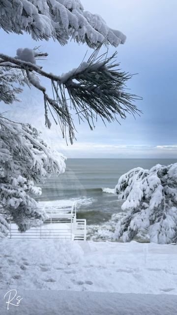 Дивноморское, Геленджик зима 2026.01.16