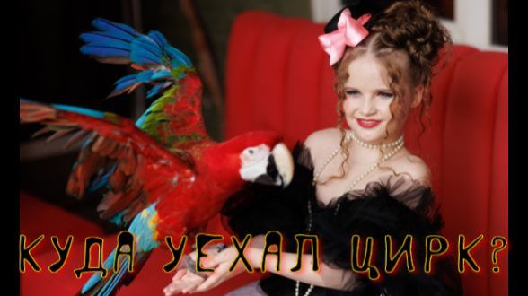 Фильм 🐒🎪🦜" Куда уехал цирк" 🦜🐕🐨от журнала Modelle