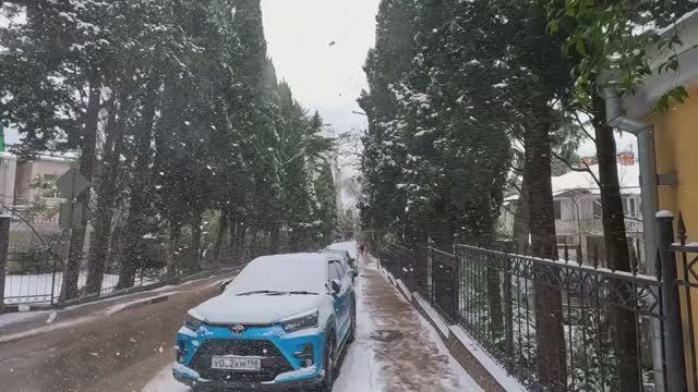 ЗИМА В ЯЛТЕ ПРОДОЛЖАЕТСЯ .БАРАШКИ,ВОЛНЫ НА МОРЕ.СОБАКИ СКРЮЧИЛИСЬ. ПОГОДА 17 ЯНВАРЯ. КРЫМ СЕЙЧАС.