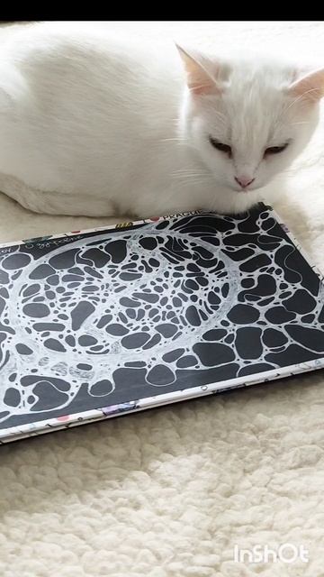 Нейрографика о здоровье. 25.04.2024 г.